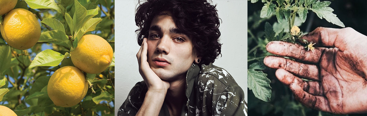 Varro Marcellus Character in Irades | World Anvil