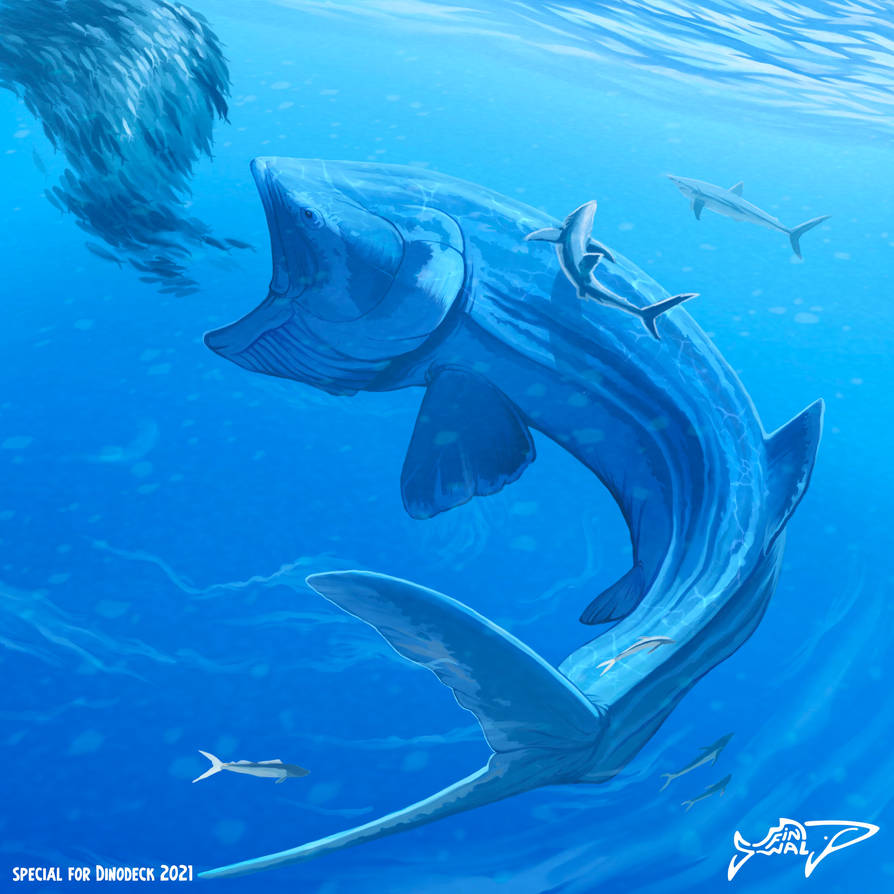 Sand Hval Species in Tales of Atharos | World Anvil