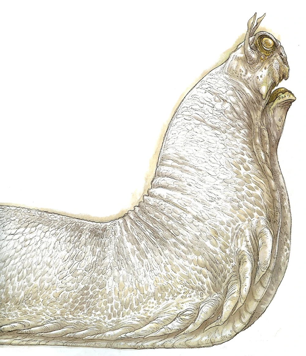 Giant Swamp Slug Species in Star Wars | World Anvil