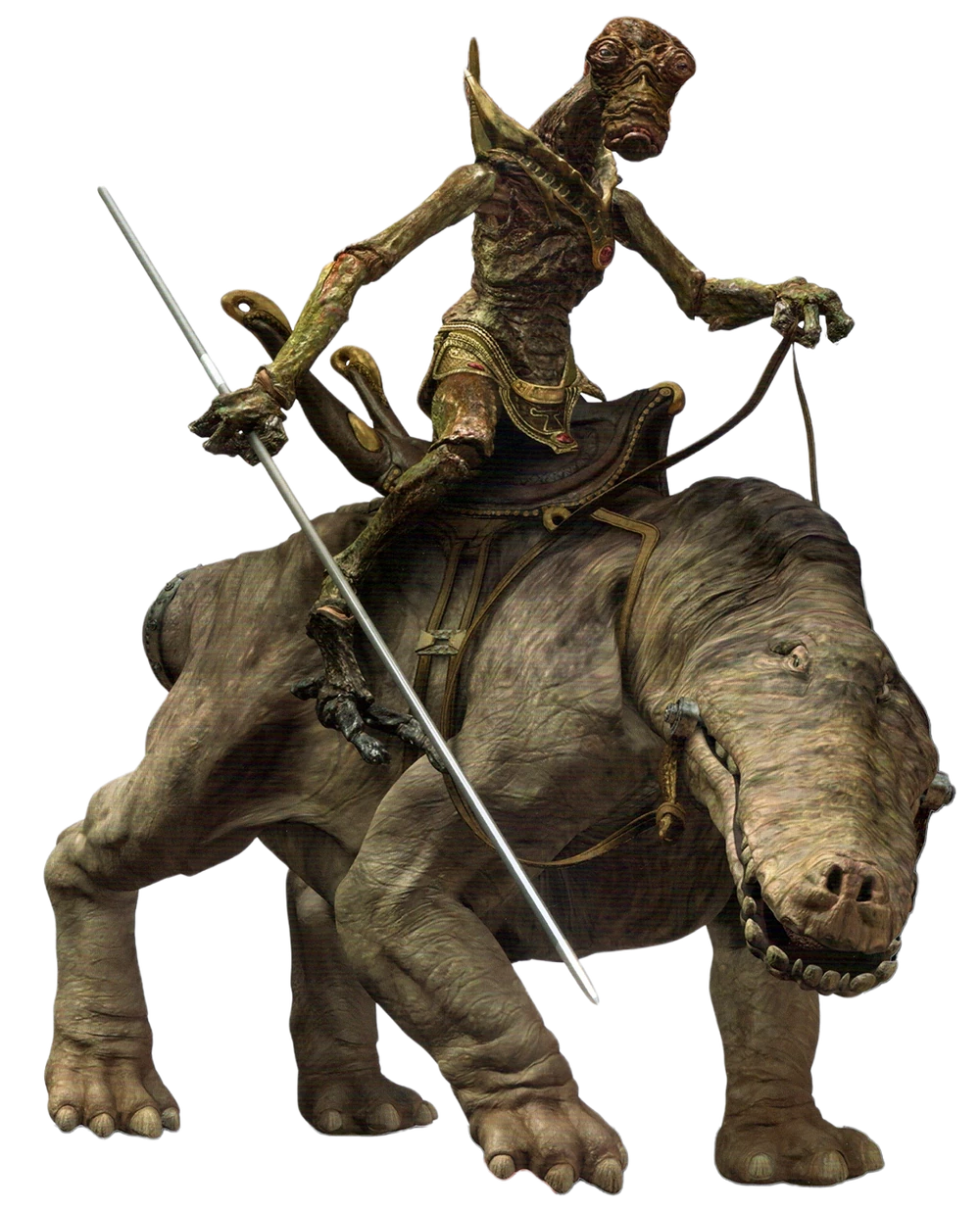 Orray Species in Star Wars | World Anvil