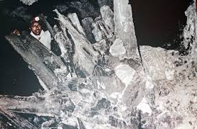 SCP-409 Species in C&A: Containment and Anomalies | World Anvil