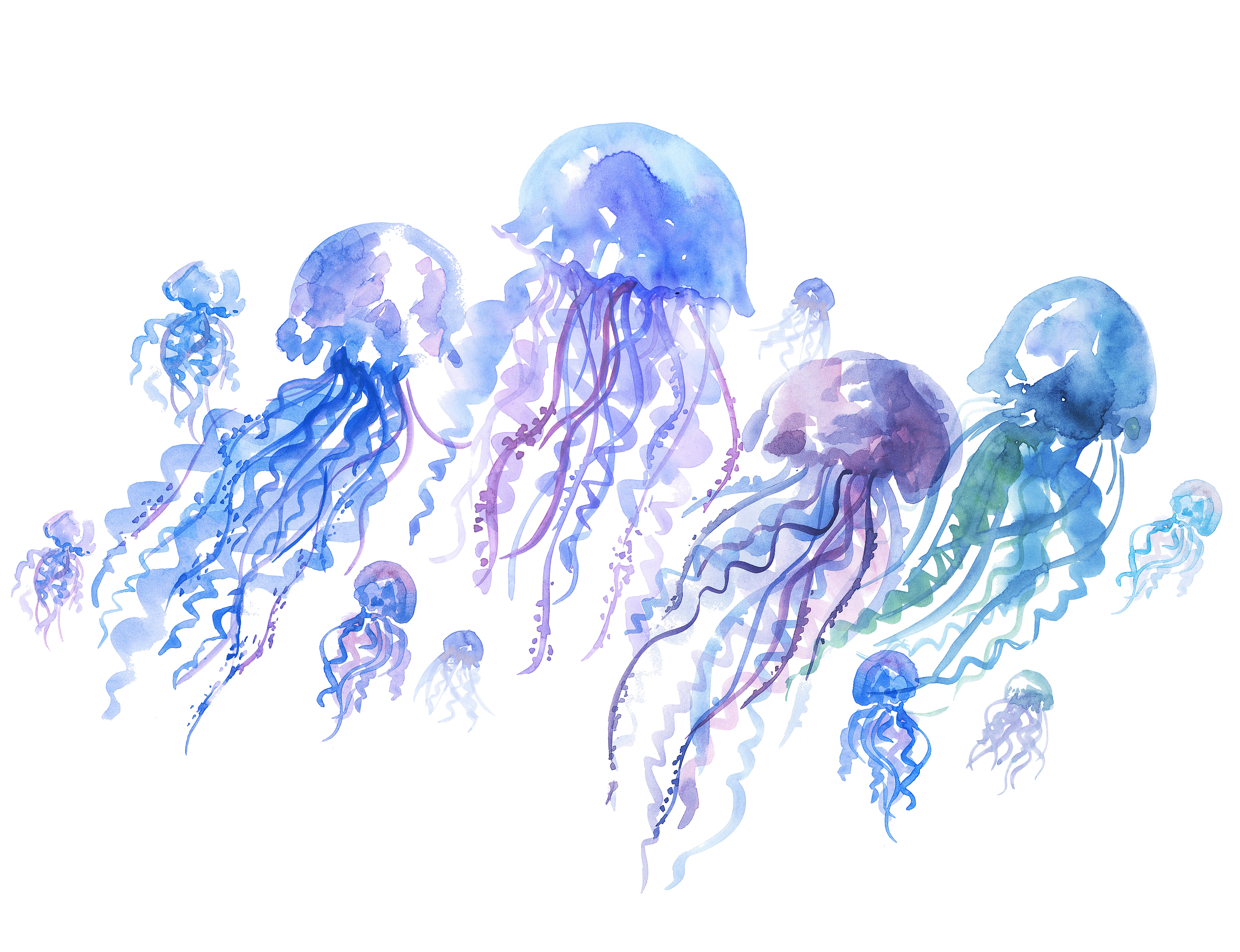 CNIDUSA, LARVAL SWARM - CR 4 Species in Aether 2d12 | World Anvil