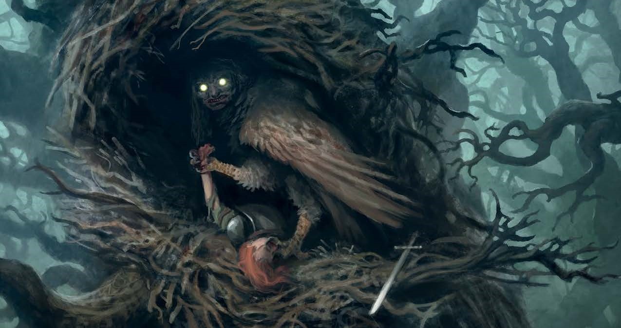 Witch Owl Species in Etharis | World Anvil