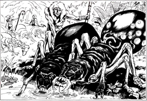 Kank Species in Athas | World Anvil