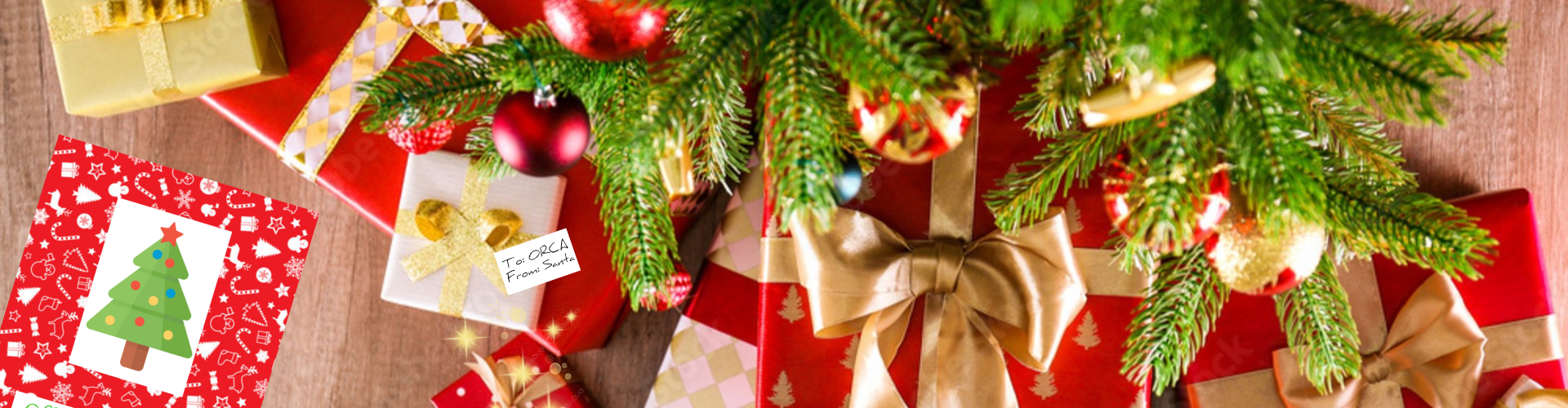 FL1224: Gacha-Pine in ORCA Database | World Anvil