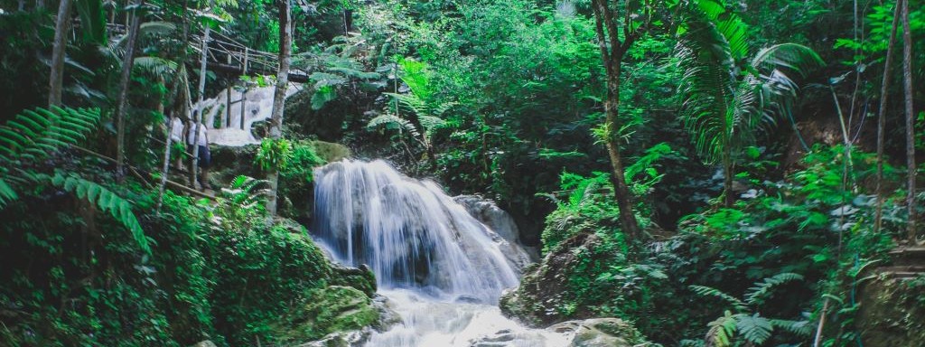 Living Jungle Geographic Location in Gaia | World Anvil